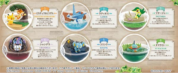 Pokemon Terrarium Collection 12 6 Box